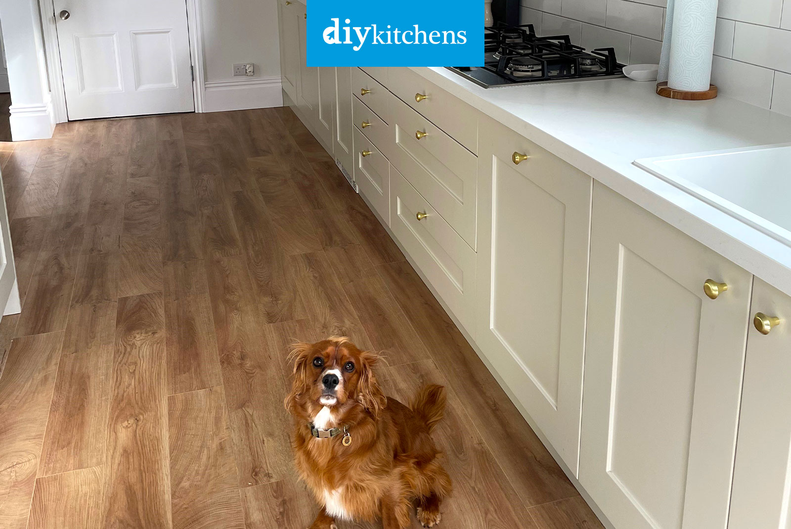 Shaker Alabaster Real Kitchens