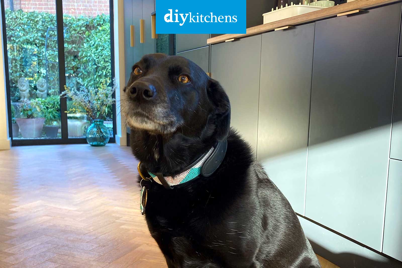 Modern Real Kitchens